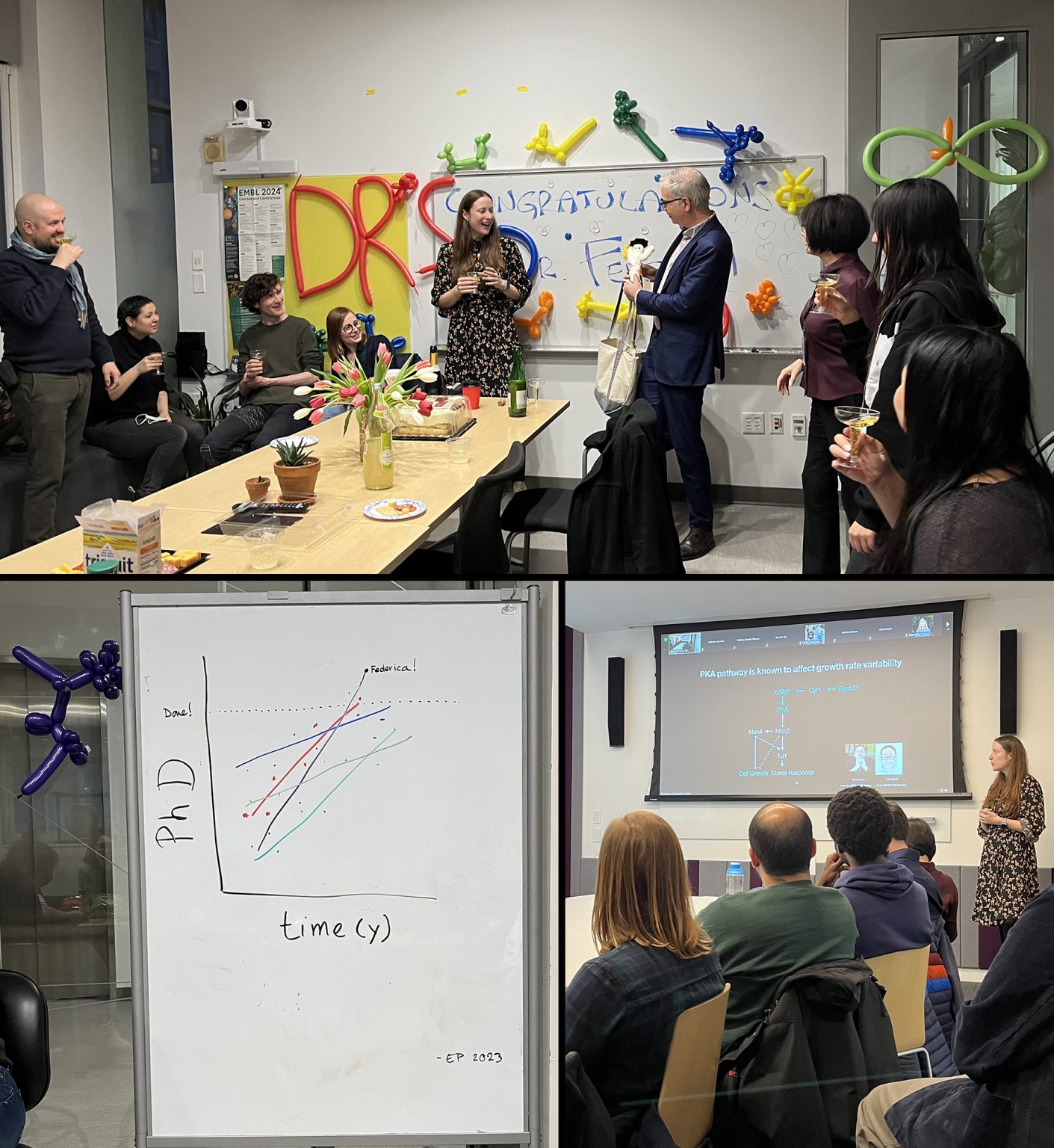 Federica successfully defends her PhD thesis – siegal lab